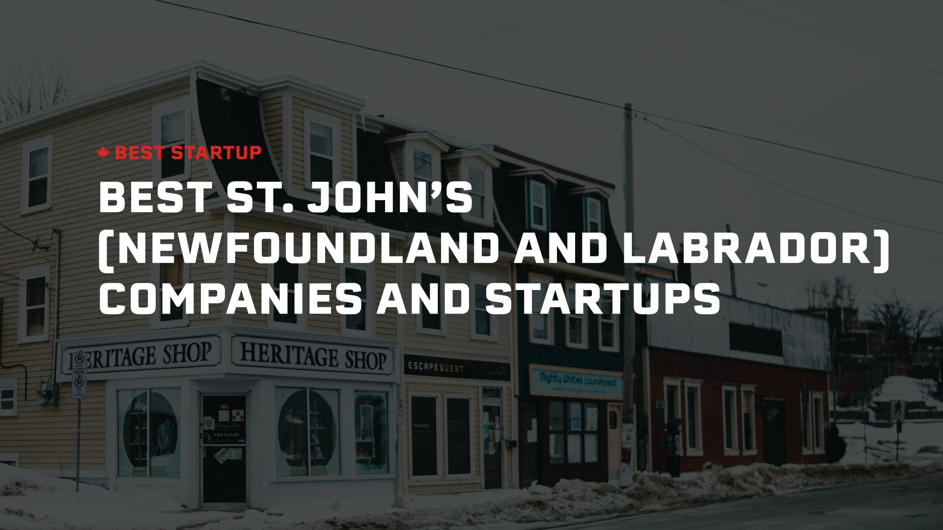 31 Top Software Startups and Companies in St. John's, Newfoundland ...