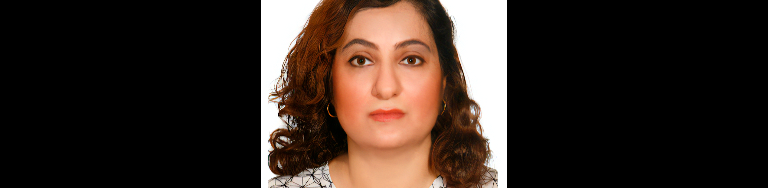 Mojdeh Pourlashkari: Our magic sauce is harnessing the incredible ...